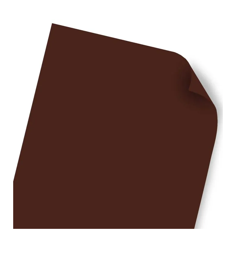 Papelería Comercial - CARTULINA EUROIRIS 50 X 65 C. CAFÉ