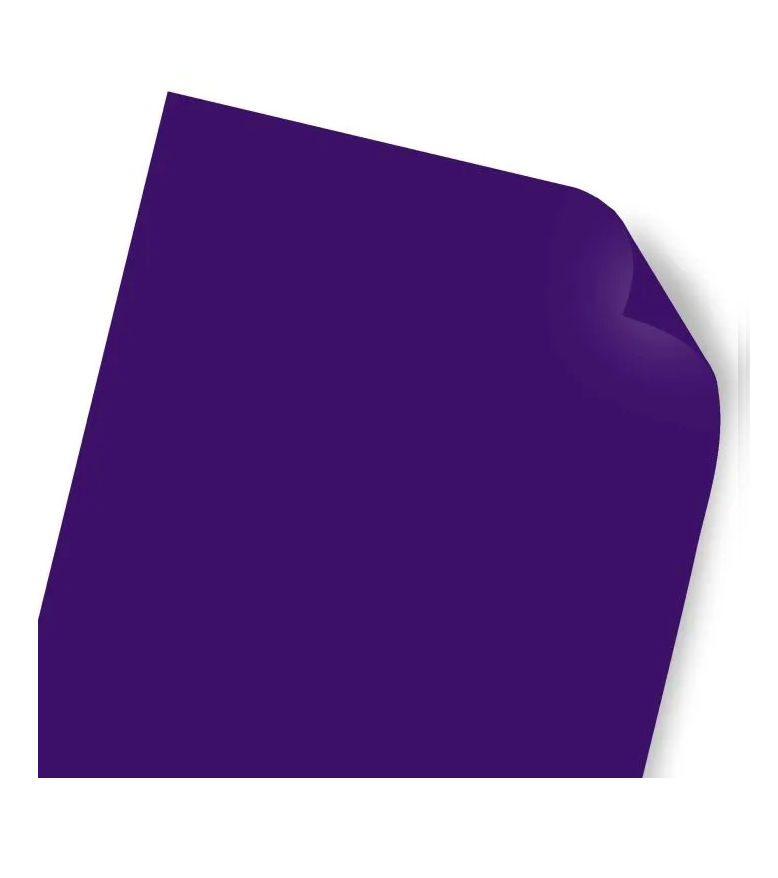 Papelería Comercial - CARTULINA EUROIRIS 50 X 65 C. MORADO