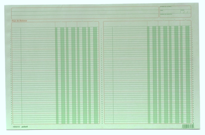 Papelería Comercial - 5010 HOJA DE BALANCE
