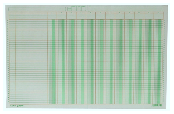 Papelería Comercial - 3412 TABULAR CONCEPTO Y 12 COLUMNAS